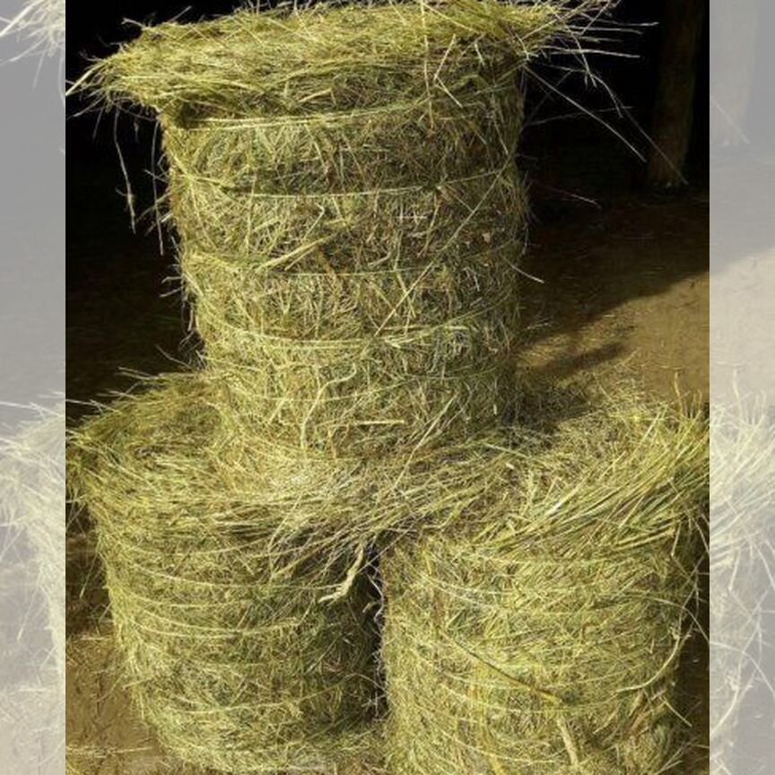 Сено в рулончиках