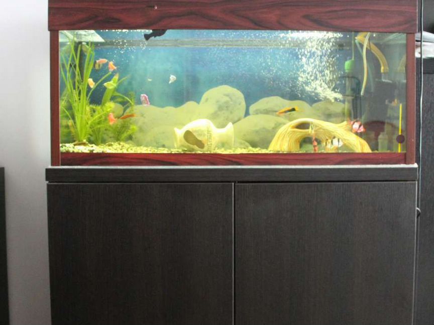Аквариум с тумбой