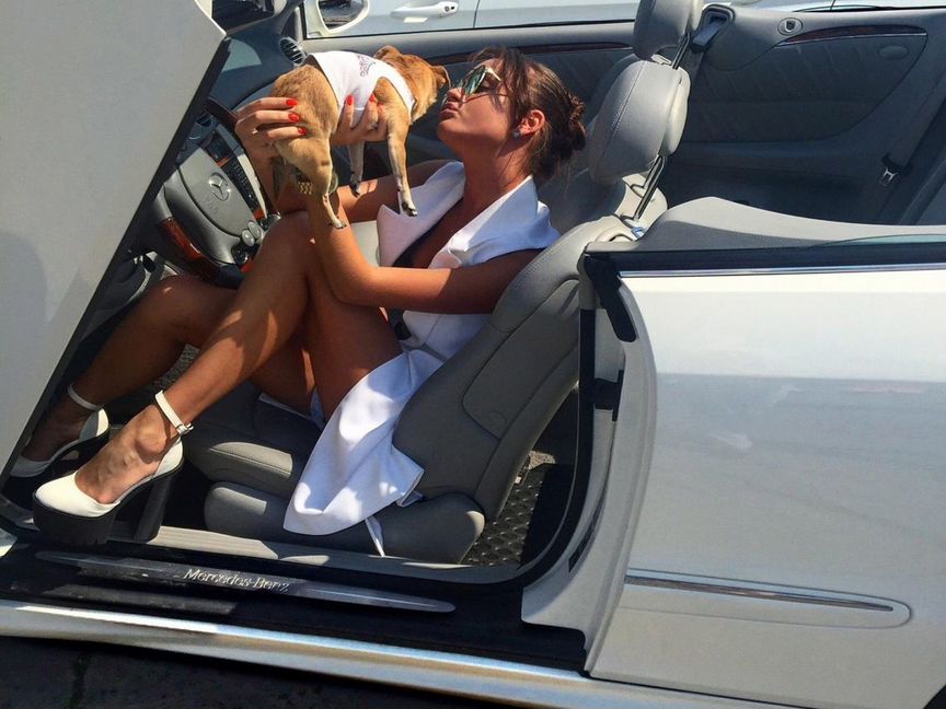 Теплая толстовка TEDi на песеля из Германии