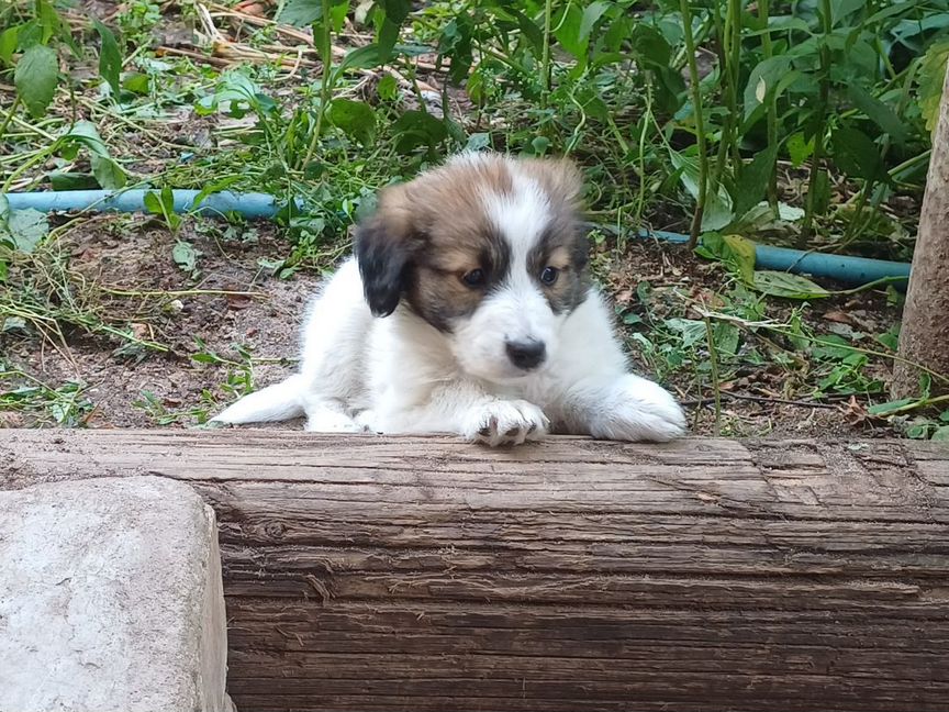 Нижегородская область ул матвеичева 30