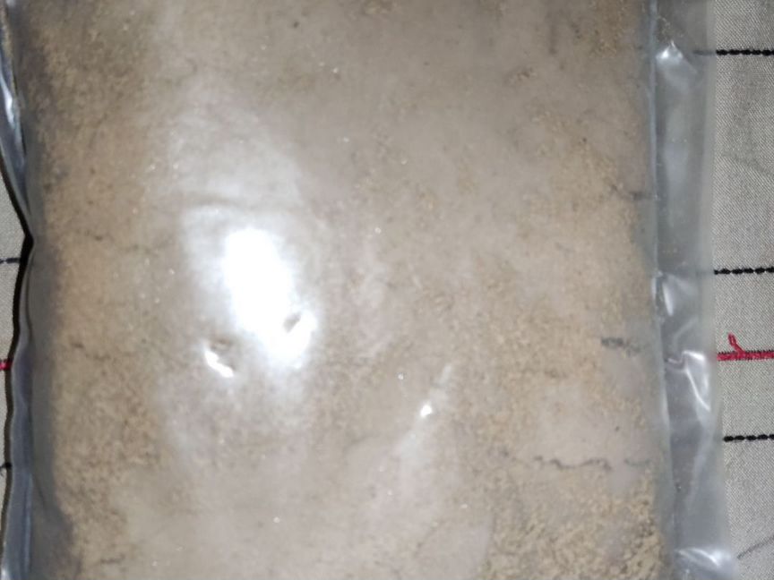 Артемия цисты