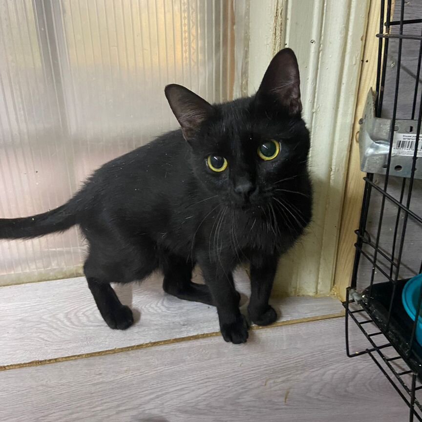 Фишер нужна семья