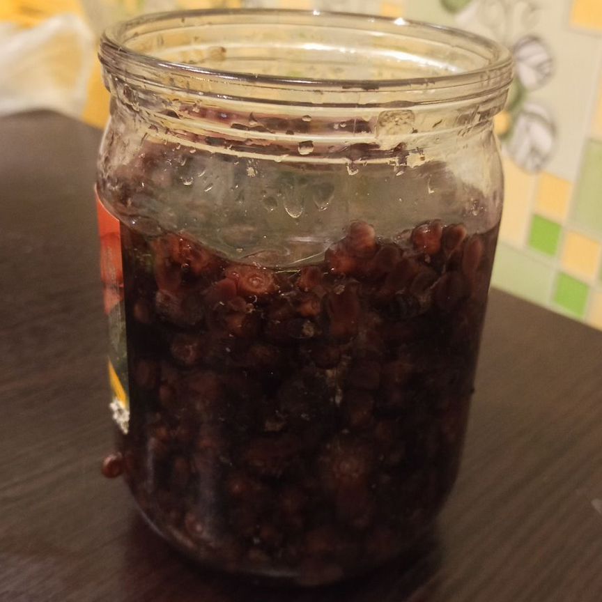 Улитки аквариумные