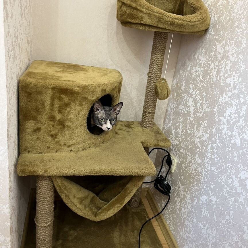Кошачий дом с когтеточкой