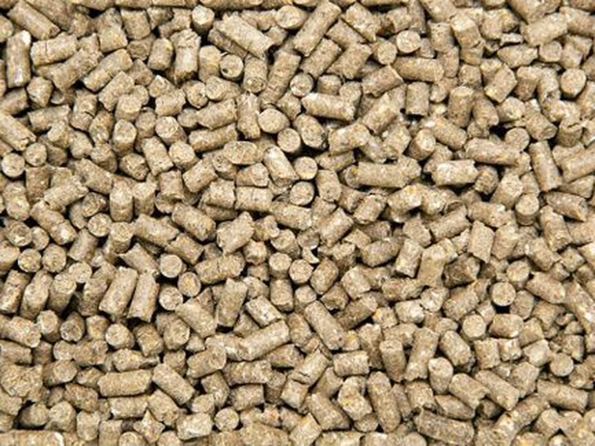 Корма для животных