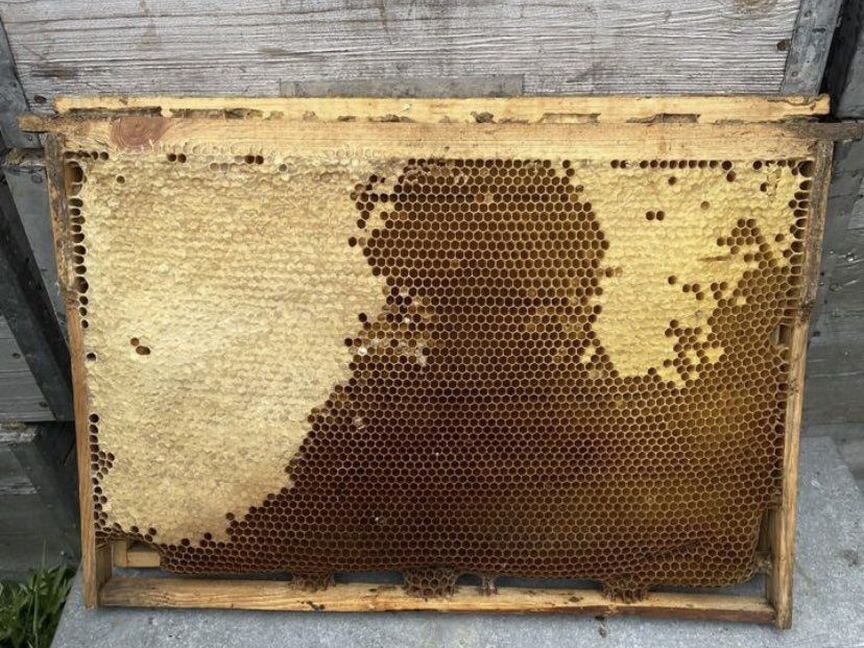 Рамки медовые