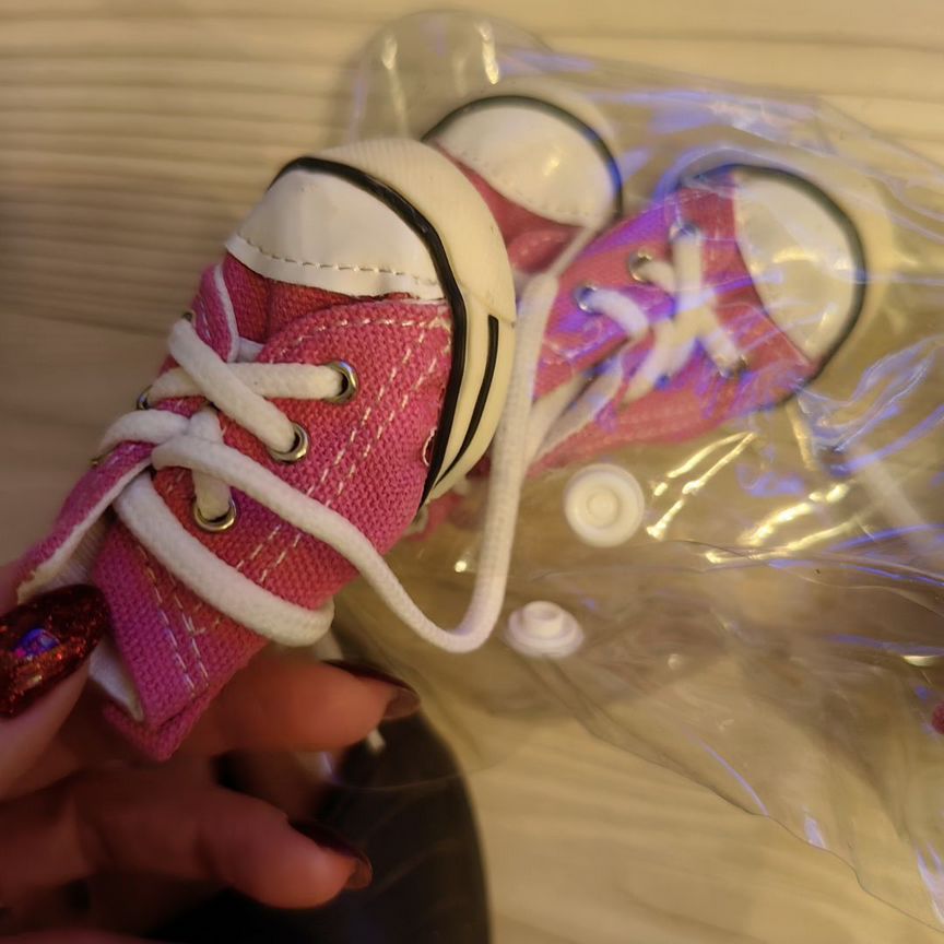 Обувь для мелкой собаки