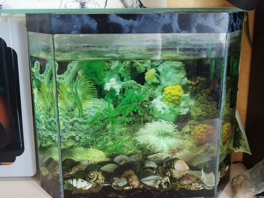 Аквариум