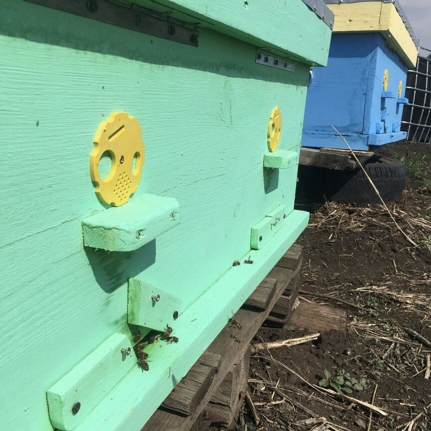 Продам ульи для пчел