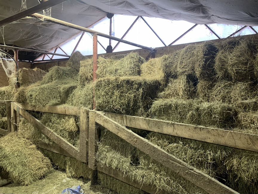 Сено в кипах