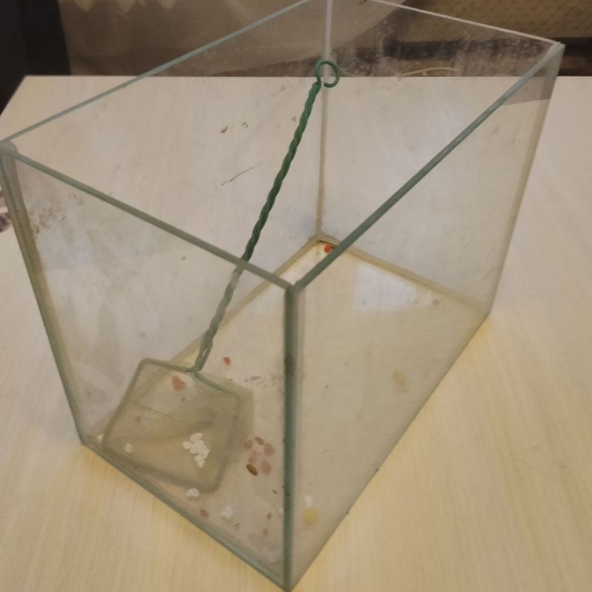 Мини аквариум или отсадник