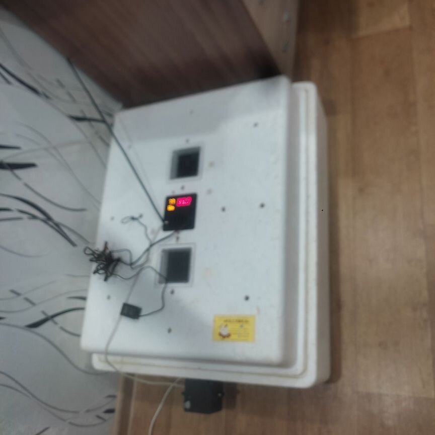 Инкубатор