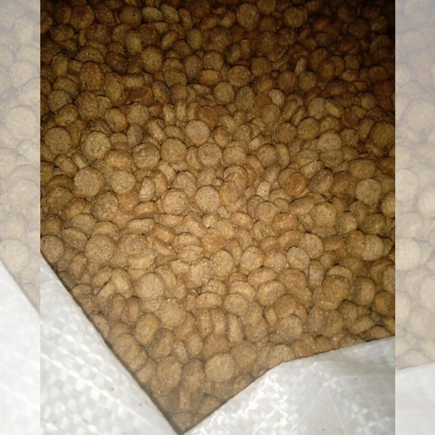 Корм для свиней, курей