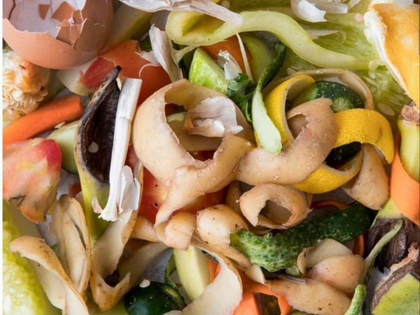 Пищевые отходы