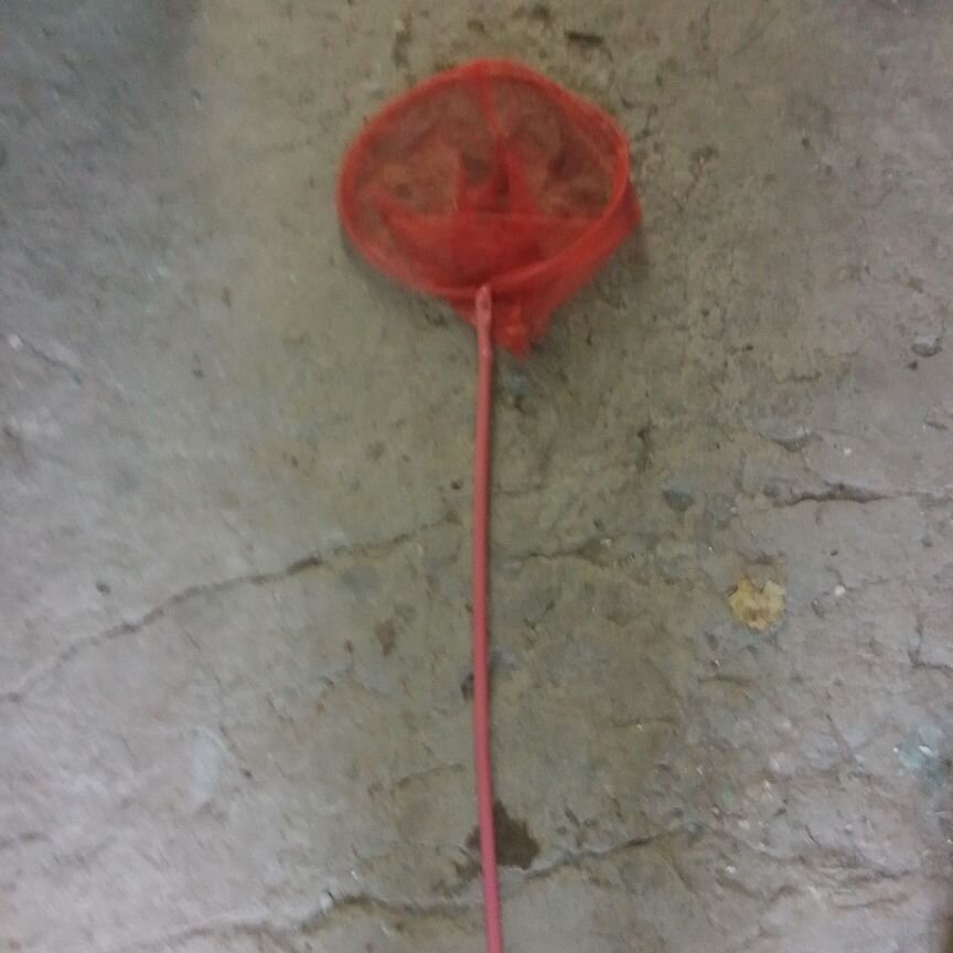 Сачок для бабочек