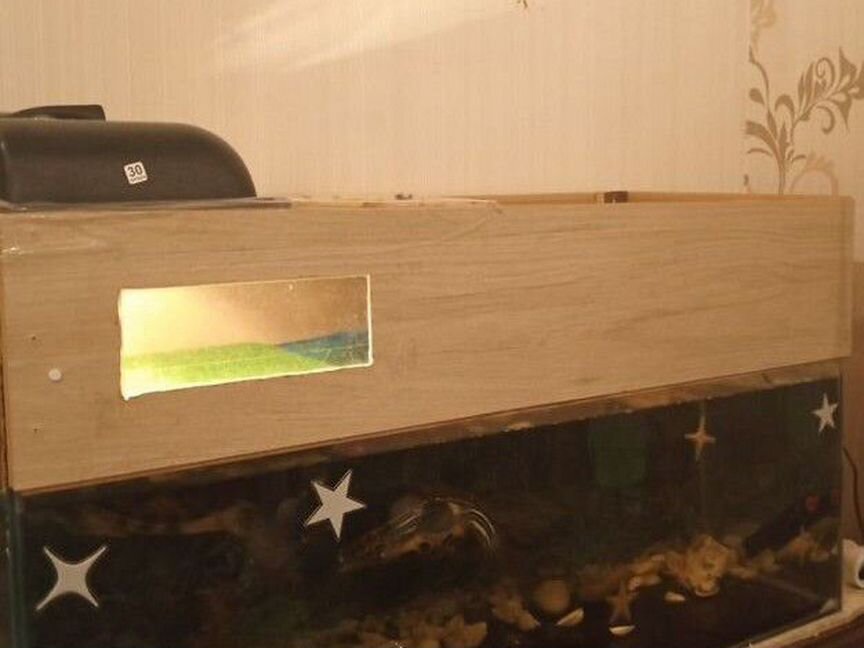 Аквариум для черепах, нагреватель, фильтр