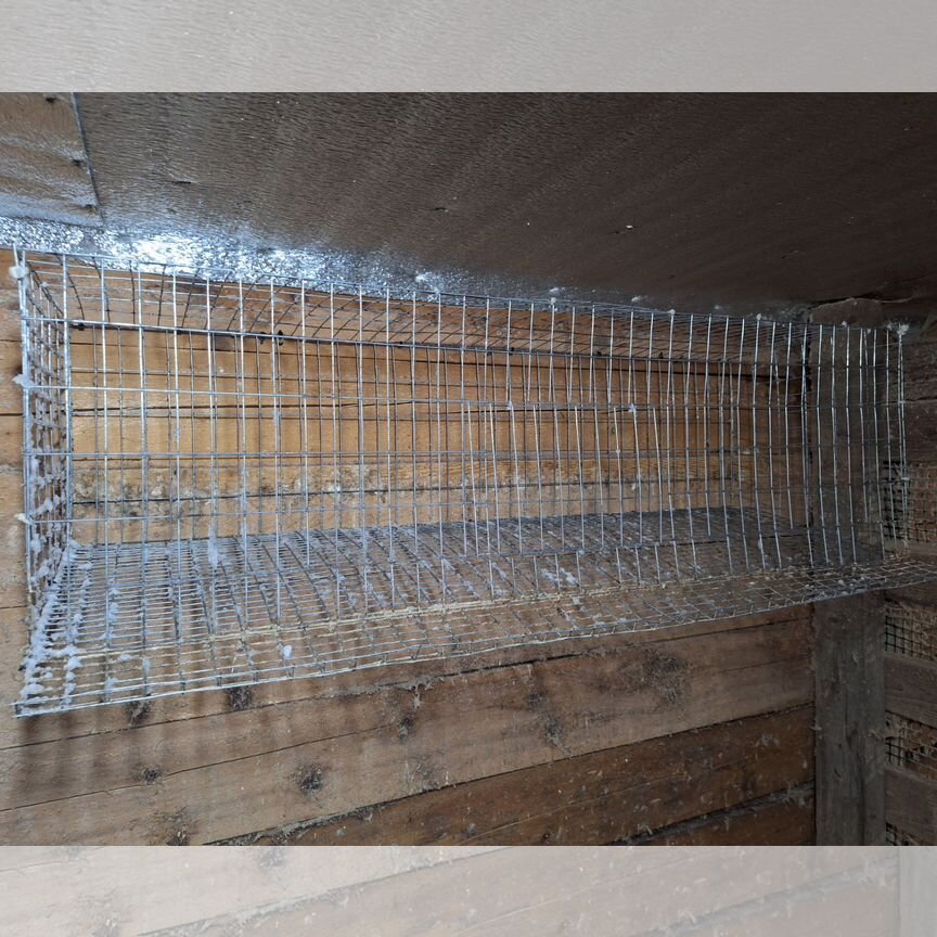 Клетки для перепелов