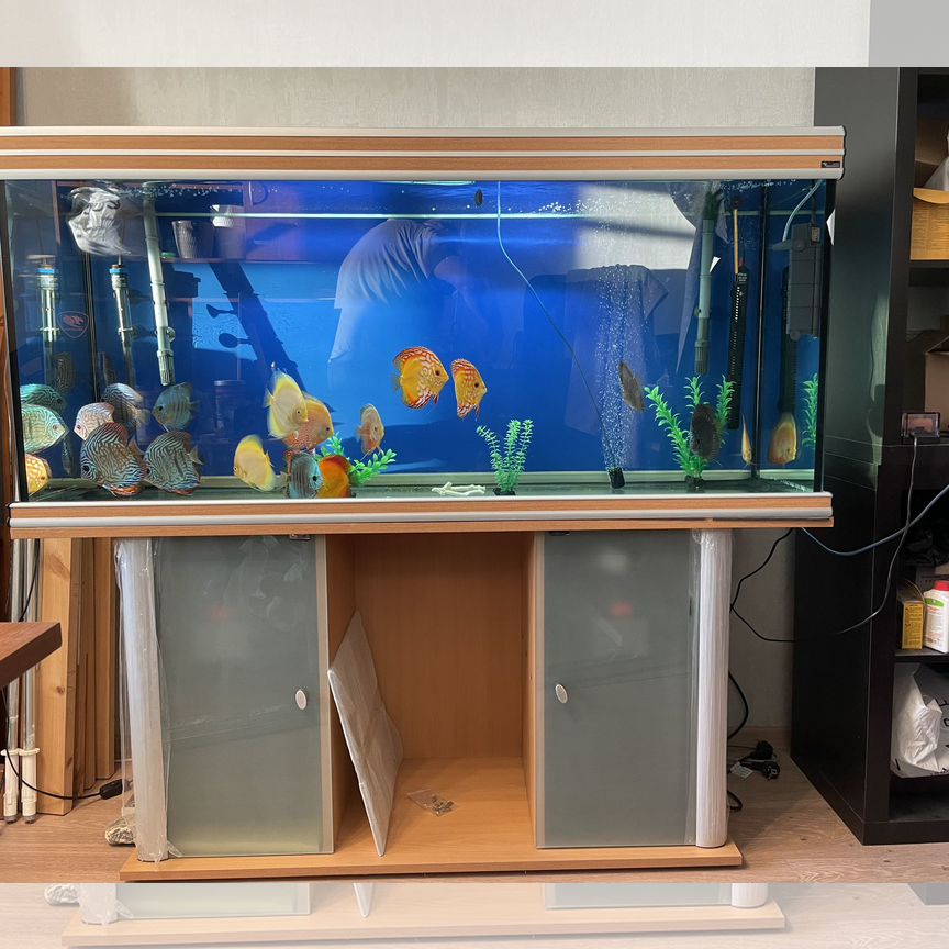 Аквариум Aquаtlantis 450 литров