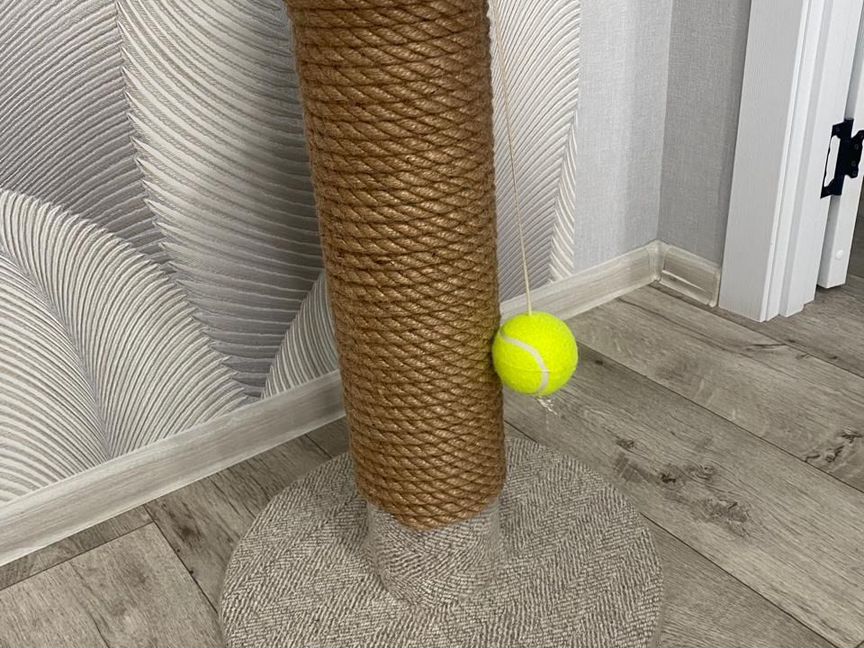 Когтеточка