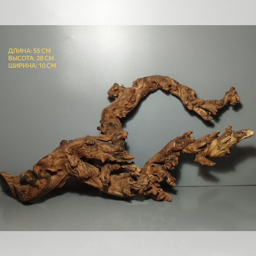 Коряга Bell Wood мангровая коряга 55*10*28 вк502