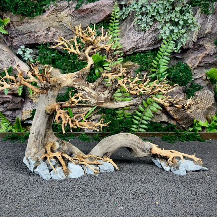 Коряга Бонсай бон108