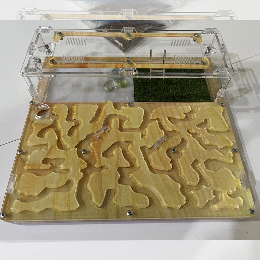 Муравьиная ферма без муравьев