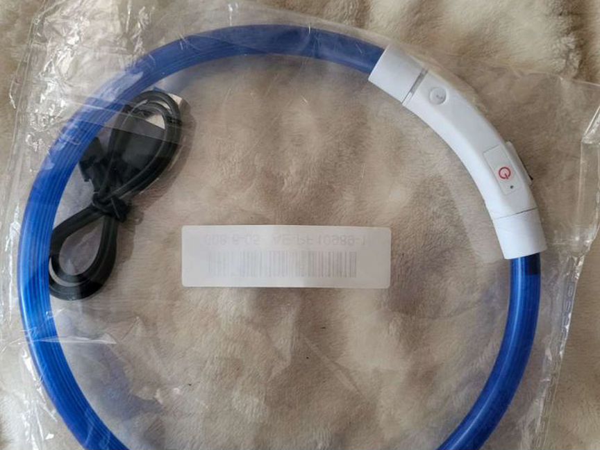 Светящийся ошейник