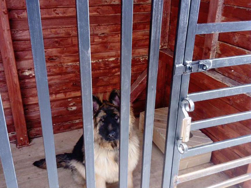 Вольеры будки для собак