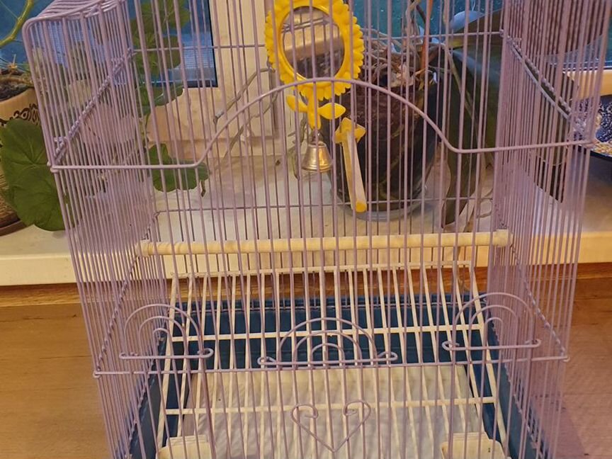 Клетка для попугая