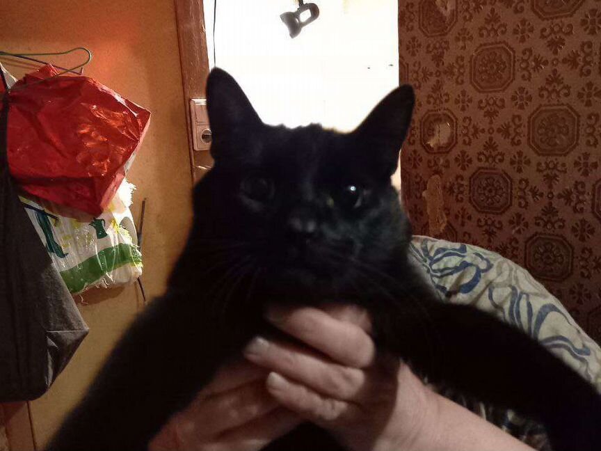 Помоги пожалуйста найти дом Мэри