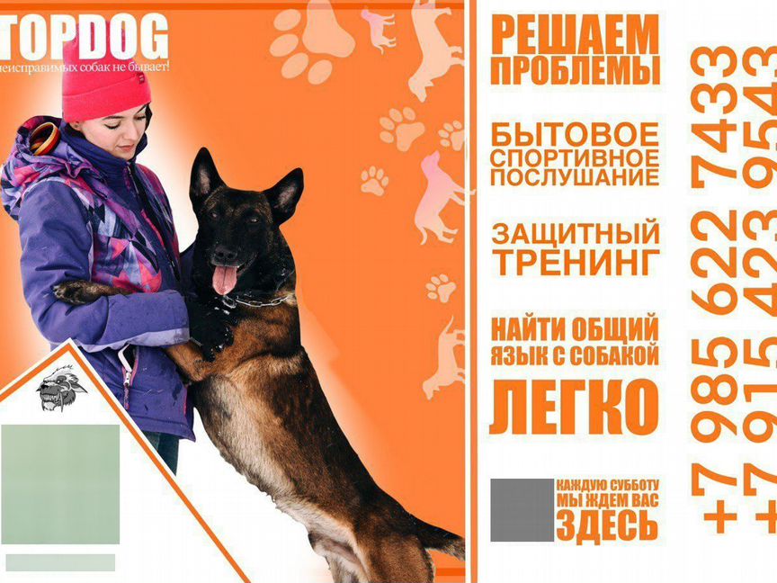 Дрессировка собак послушание и защита