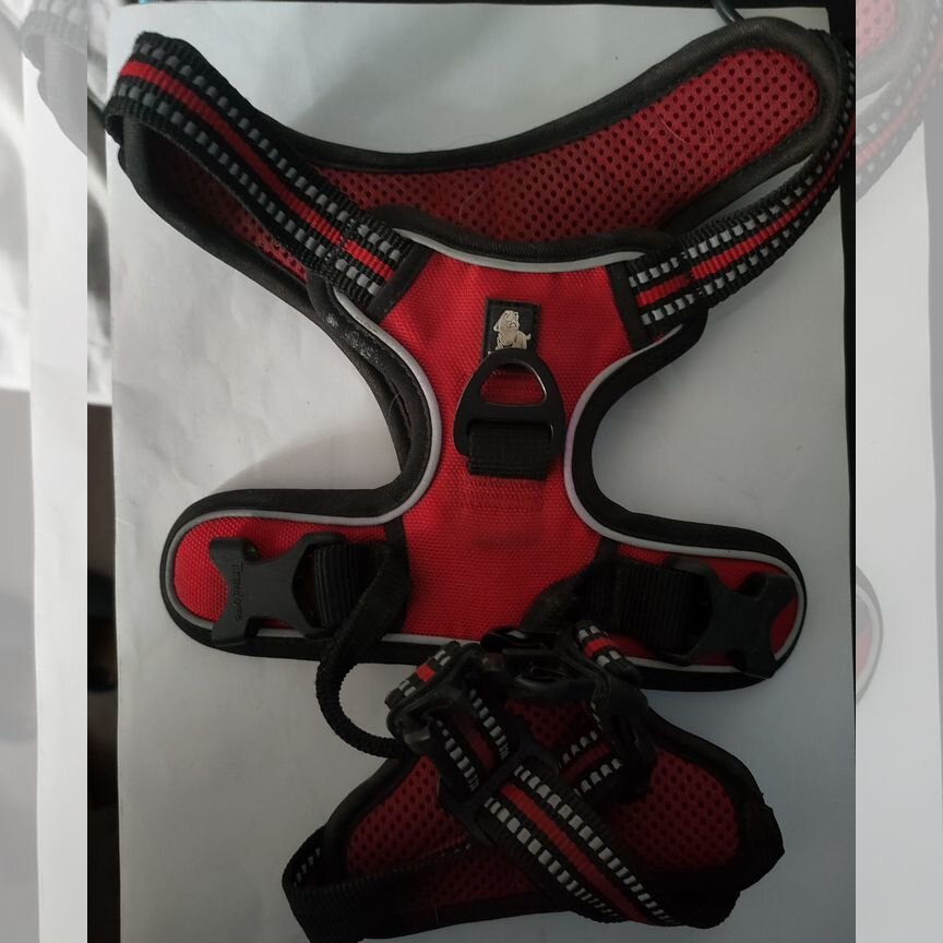 Шлейка для собаки Truelove S