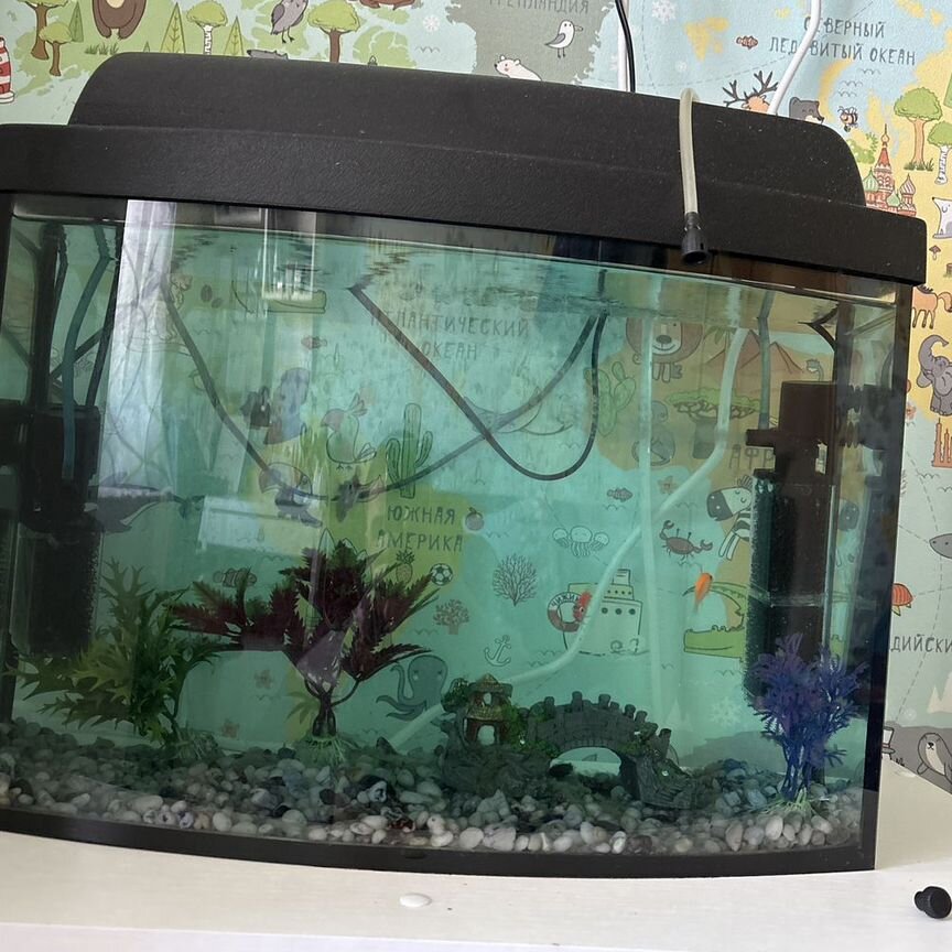 Аквариум