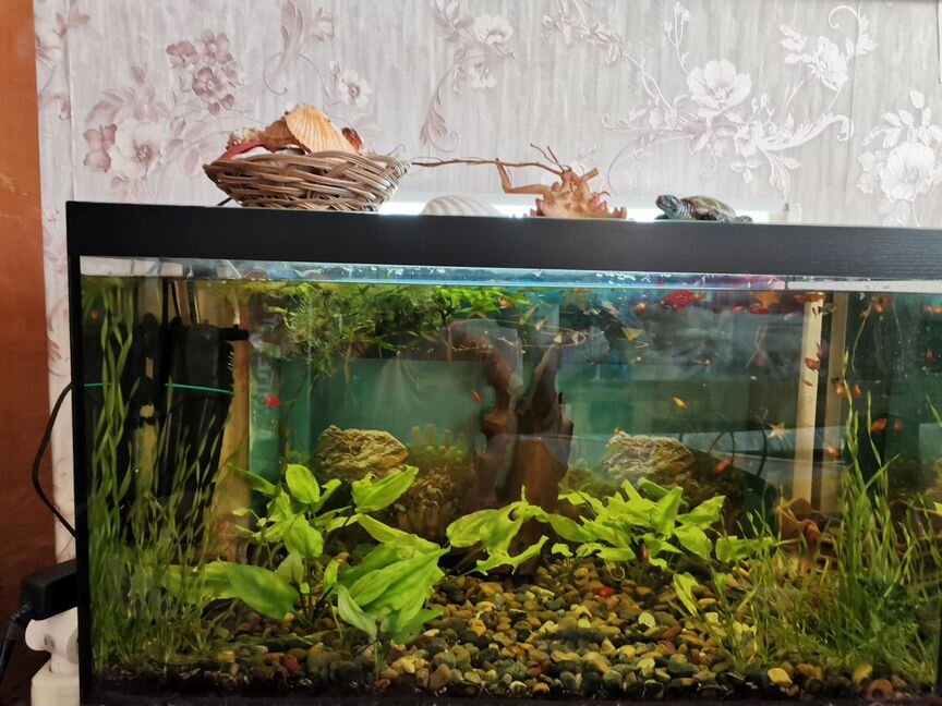 Продам аквариум