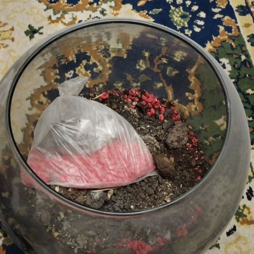 Аквариум круглый