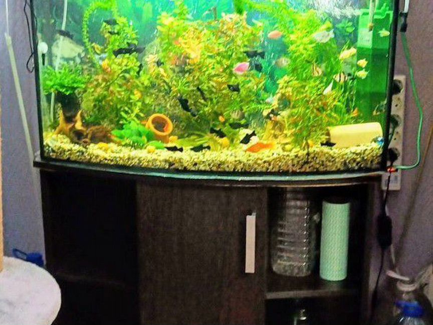 Аквариум с тумбой