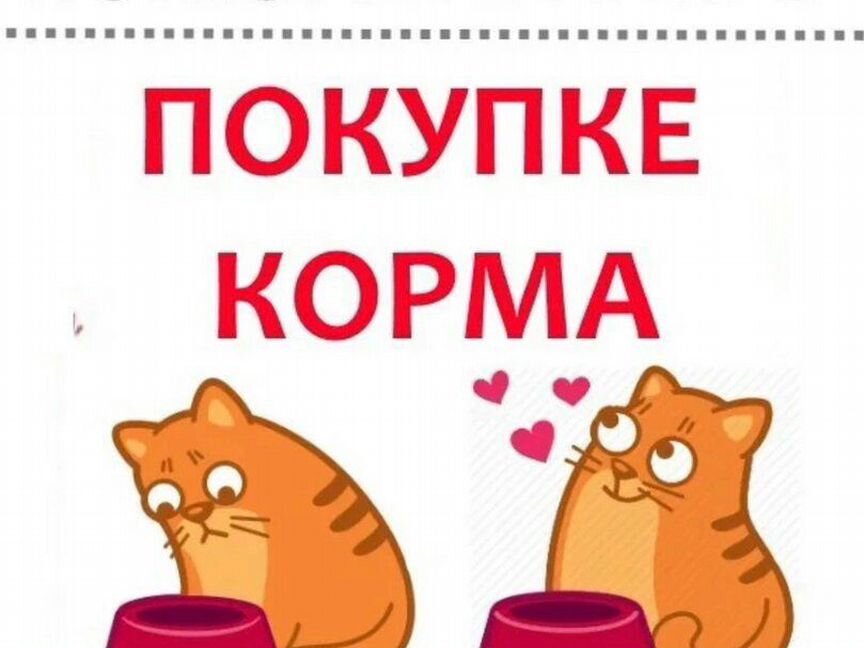 Самые-самые котики и кошечки