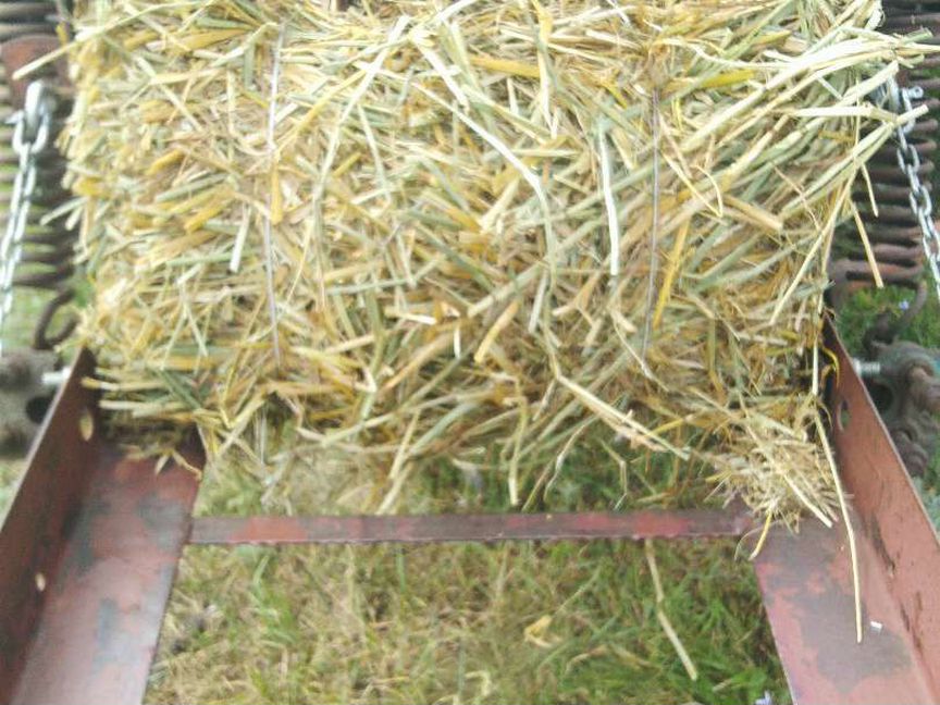 Солома в тюках