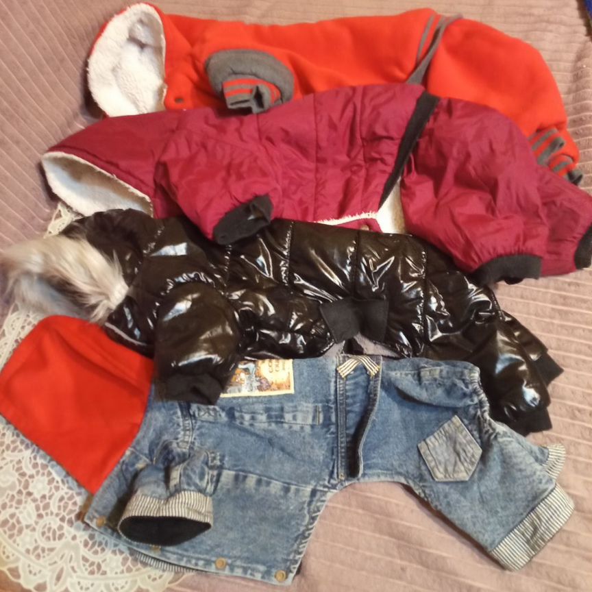 Одежда для маленьких собак