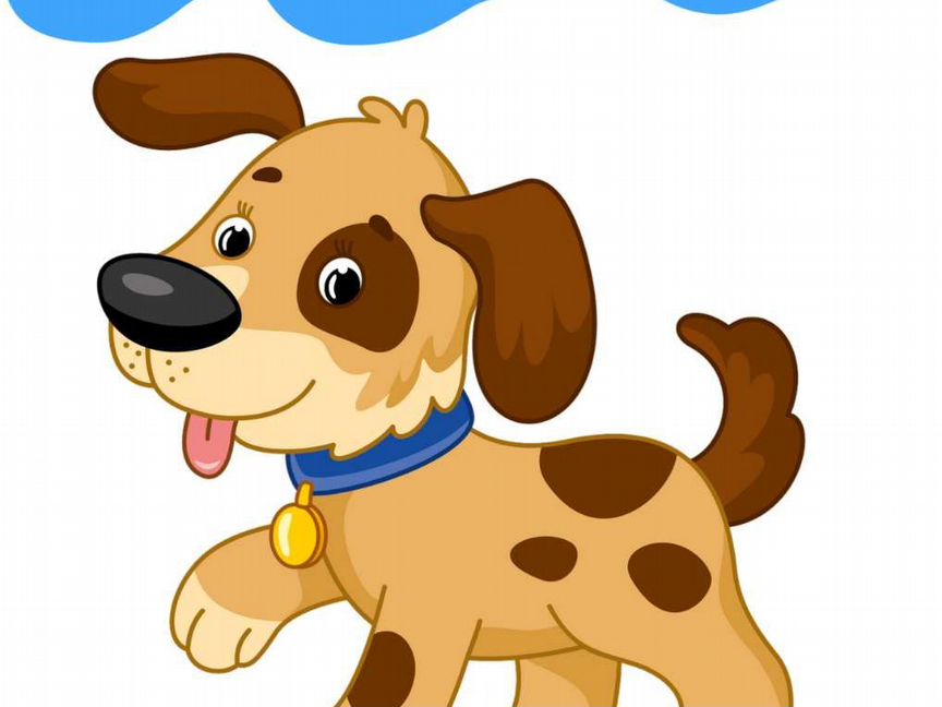 Выгул собак