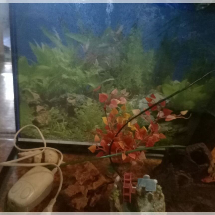 Продам аквариум