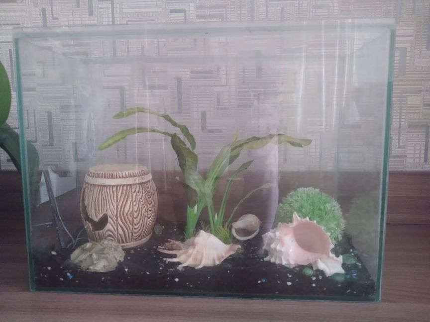 Аквариум 20-25 литров