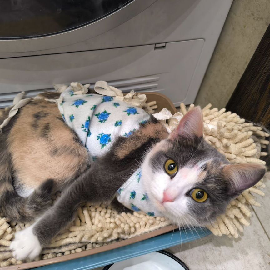 Нашли в лесу