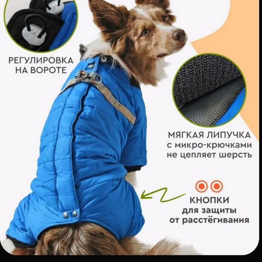 Одежда для собак