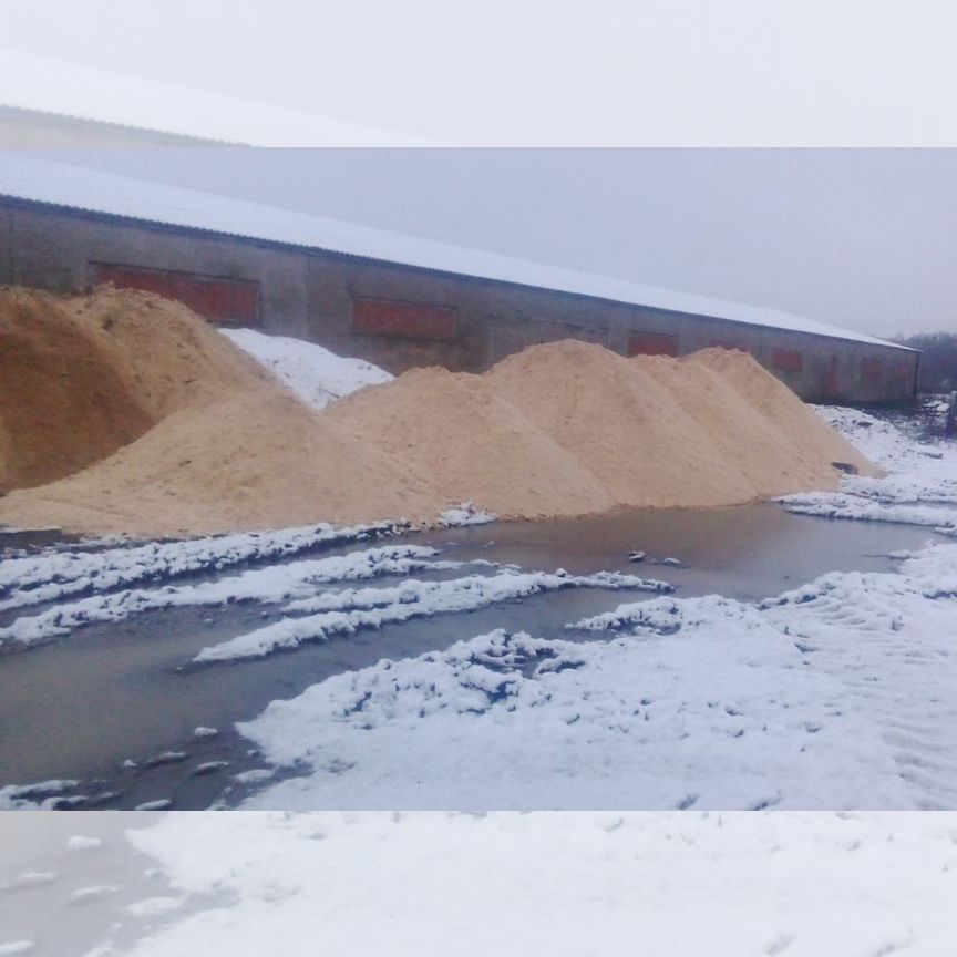 Опилки в наличии