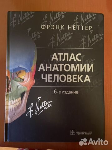 Новый атлас анатомии человека Фрэнк Неттер... купить в Москве | Авито