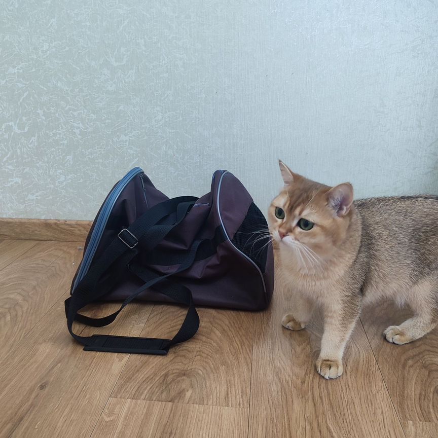 Переноска для кошек новая