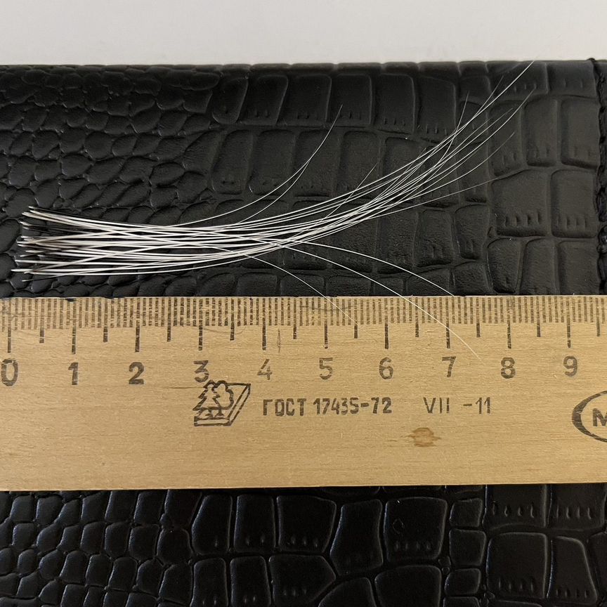 Кошачьи усы