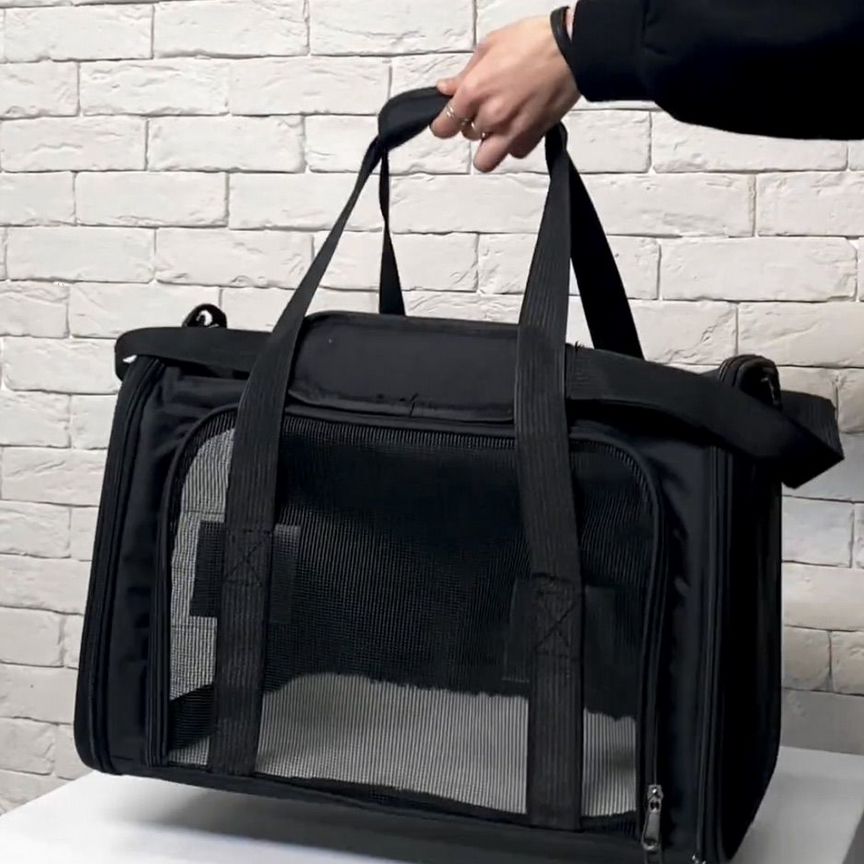 Аренда переноски для кошек и собак маленьких