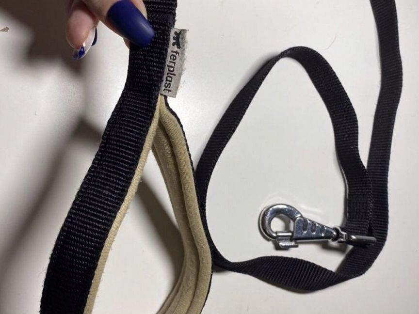 Поводки и ошейники для средних и крупных